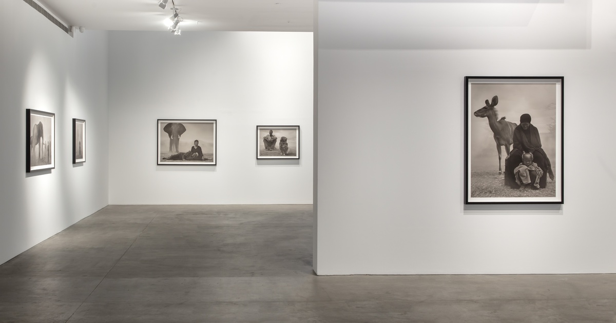 Nick Brandt - The Day May Break | Waddington Custot